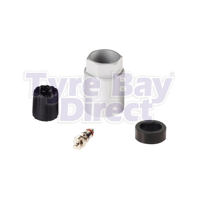 TPMS Replacement Valves | Compatible with Schrader & VDO Sensors